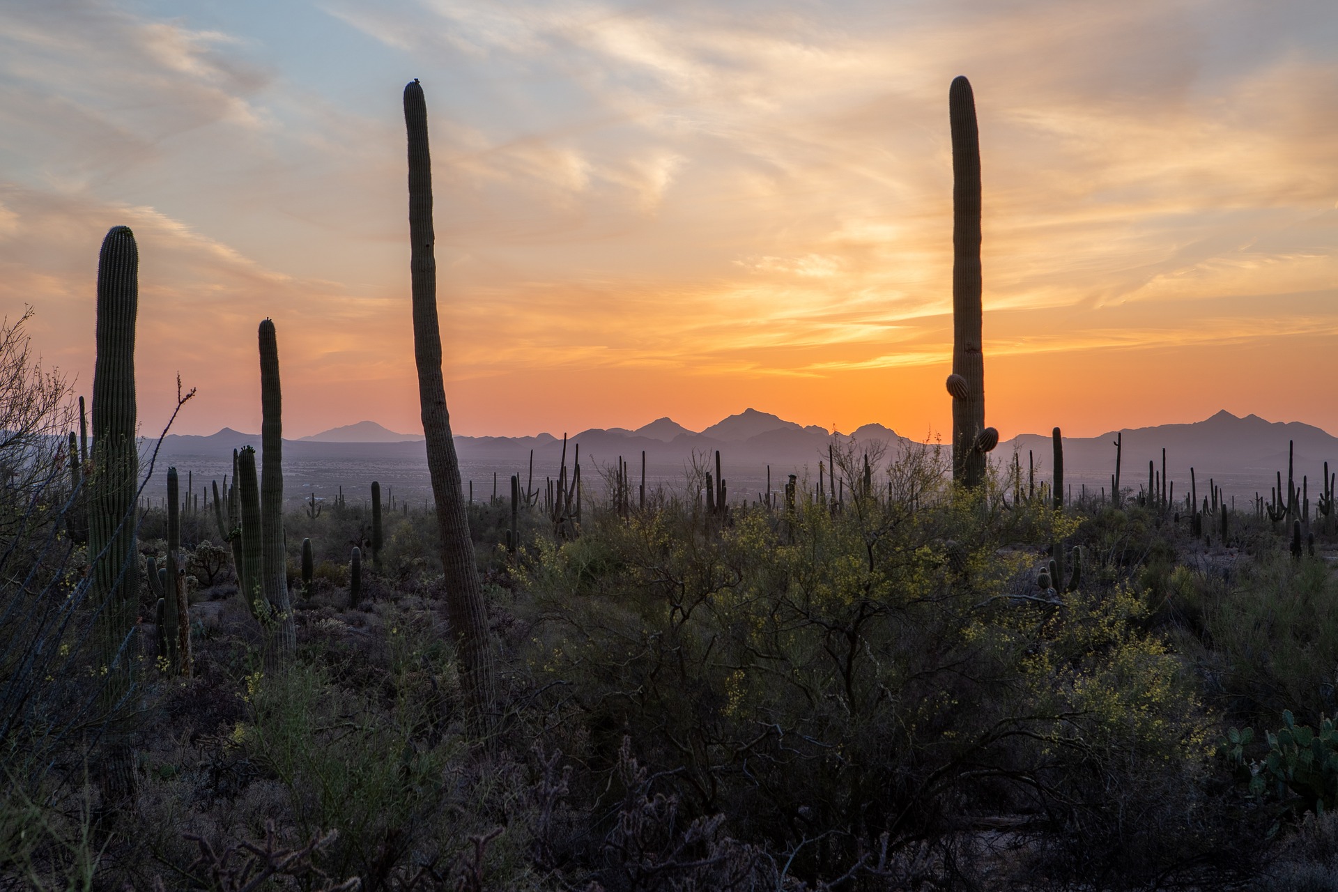 12 hidden treasures in southern Arizona | Arizona Trail Guide